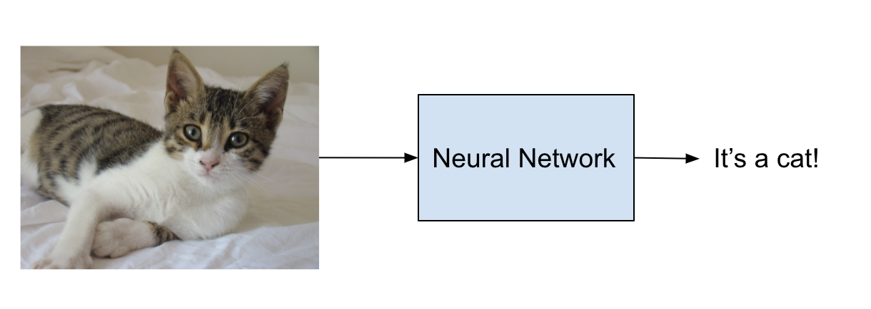 Understanding Neural Networks – Part 1: Neurons and Networks, What They ...